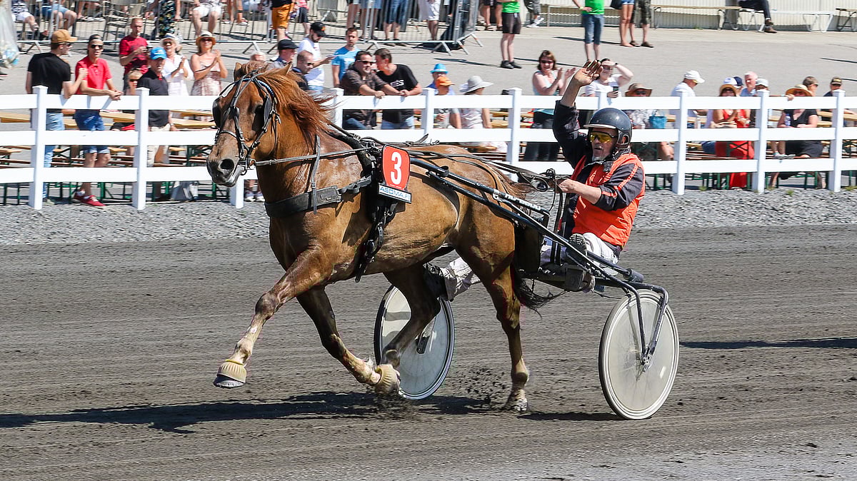 Juhanin kultakimpale kaatoi kuningattaren - "Ei tarvinnut kuin istua ...