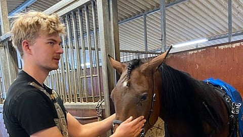 Markus Forss aloitti valmentajana Linda Tovekilla – "Panostan ...