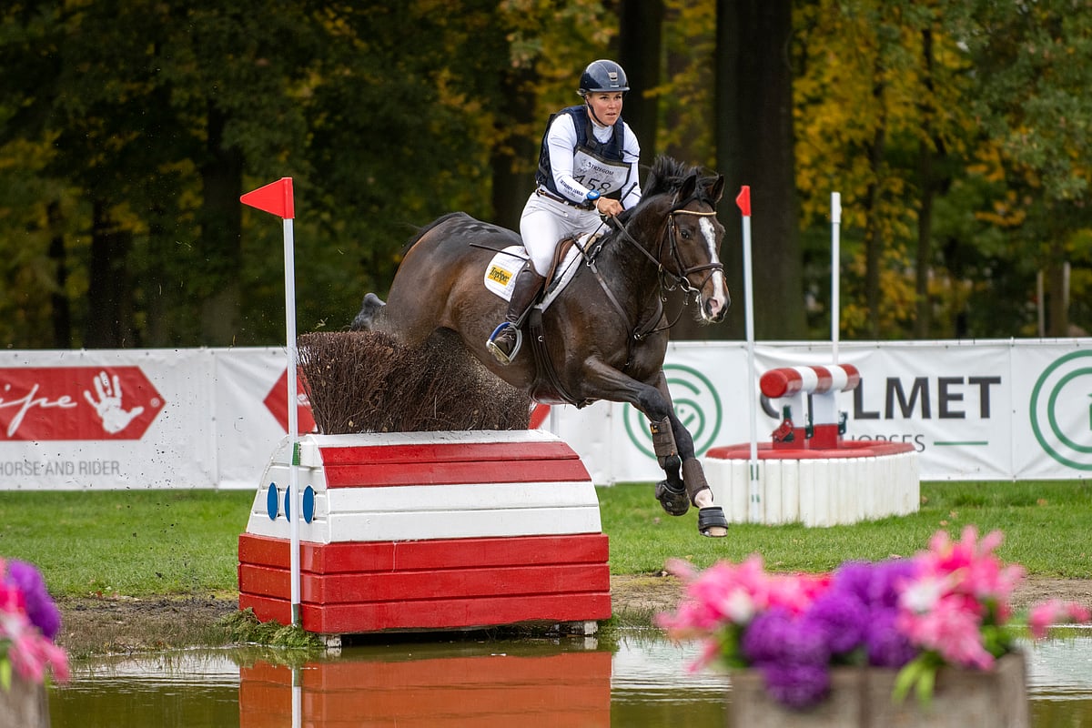 Bofey Clickin energia kääntyi eduksi