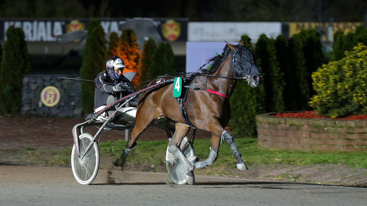 Brilliant Stride Kasvattajakruunu-karkeloiden yllätysvoittoon