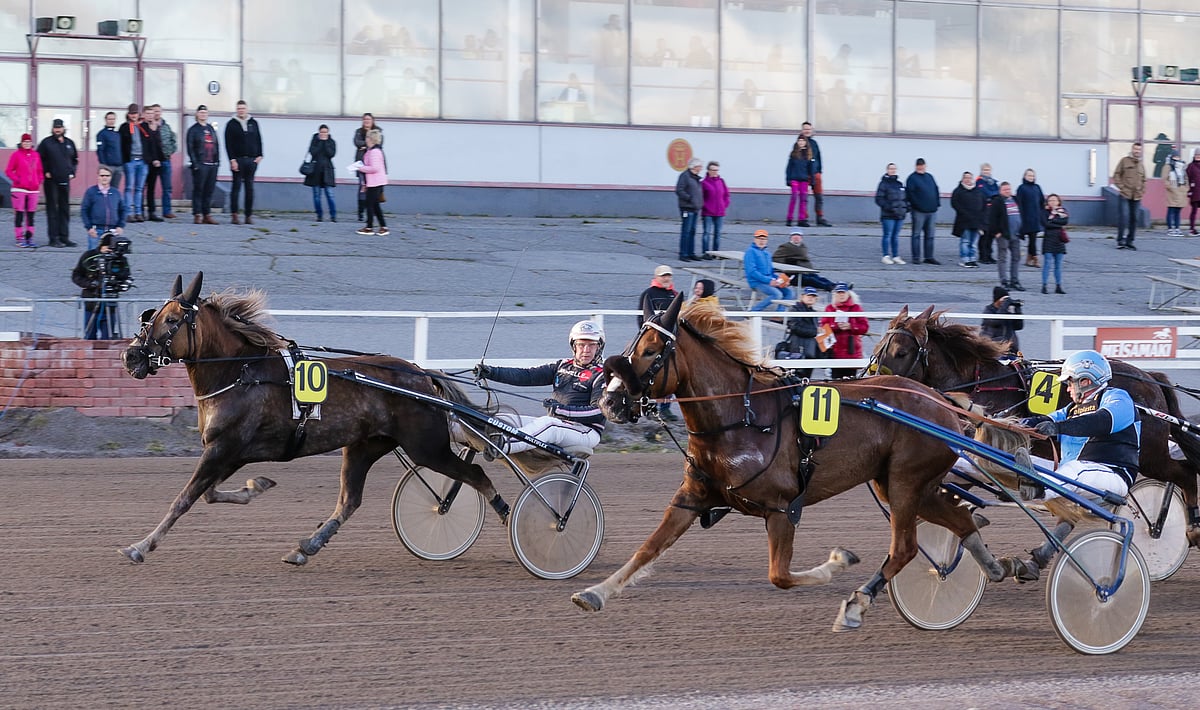 Heilis hakee menestystä Kujalan perheelle