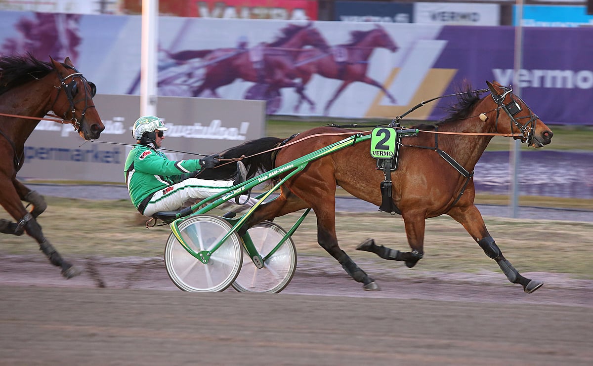 Ray Boy siirtyy kilpailemaan pohjoiseen – "Päähänpinttymä oli saada ...