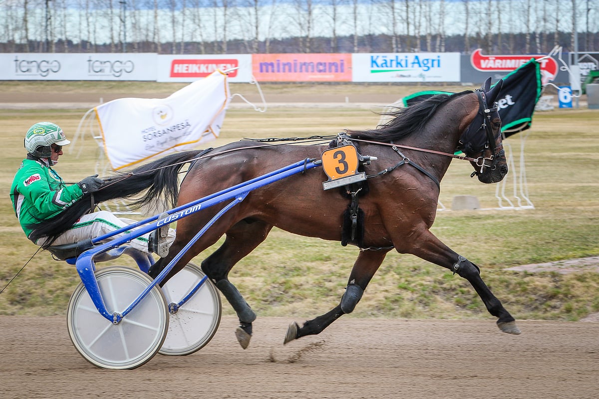 Martin de Bos lähestyy starttikuntoa – ”Katsotaan rauhassa, vieläkö ...