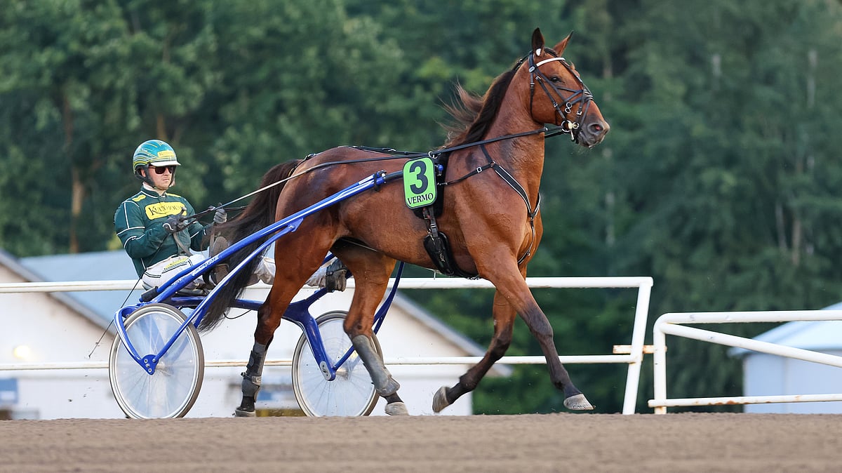 Hevosurheilun Toto65-ideavihje Vermo: Suurimmat suosikit suojataan