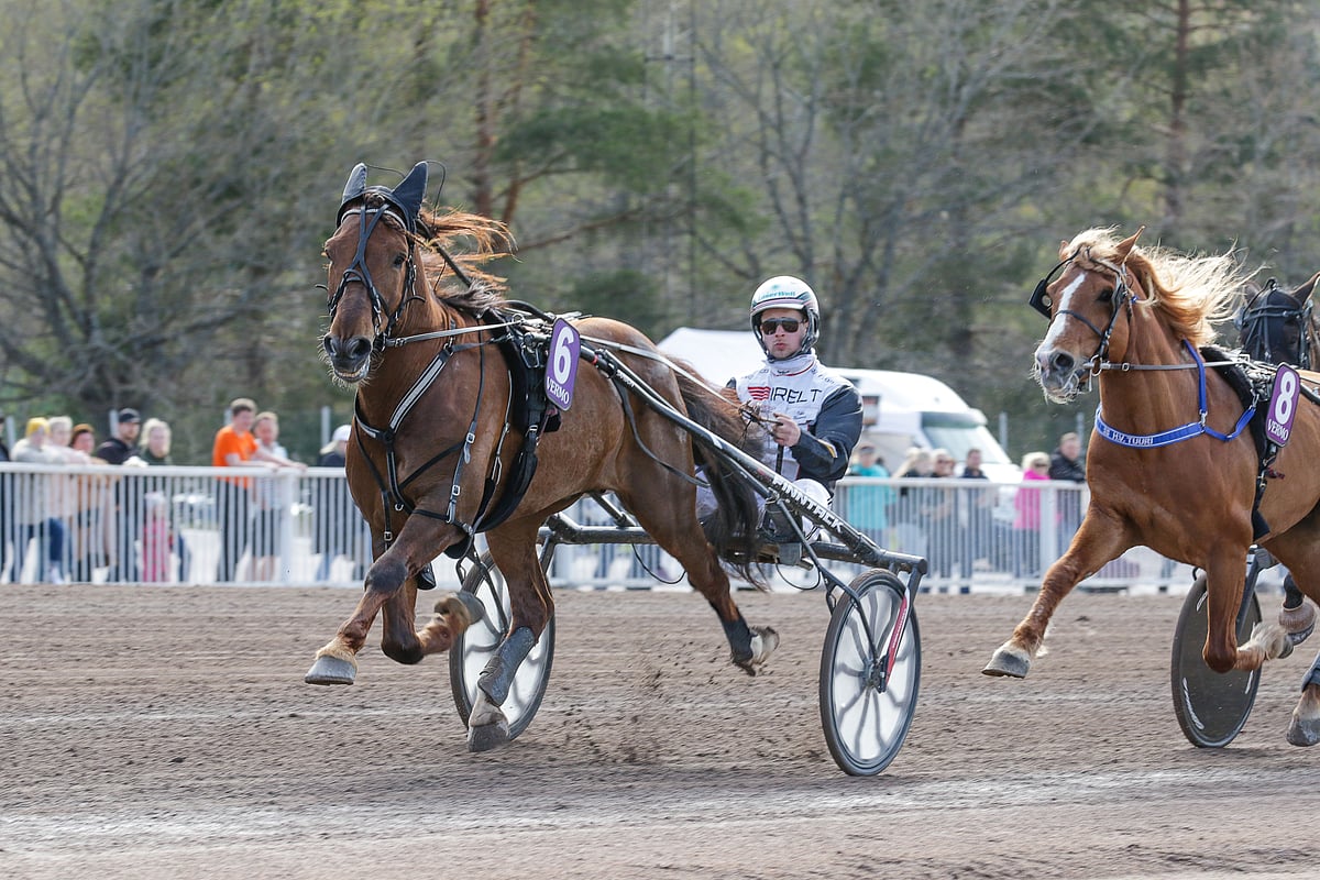 Toinen suomenhevonen kutsuttiin Elitkampeniin