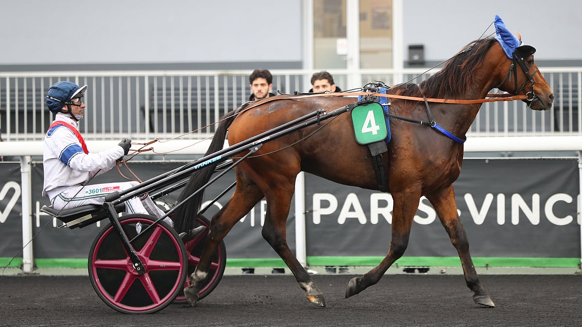 Markku Niemisen Goeland d'Haufor avaa Suomen-uransa Vermossa 19.3 ...