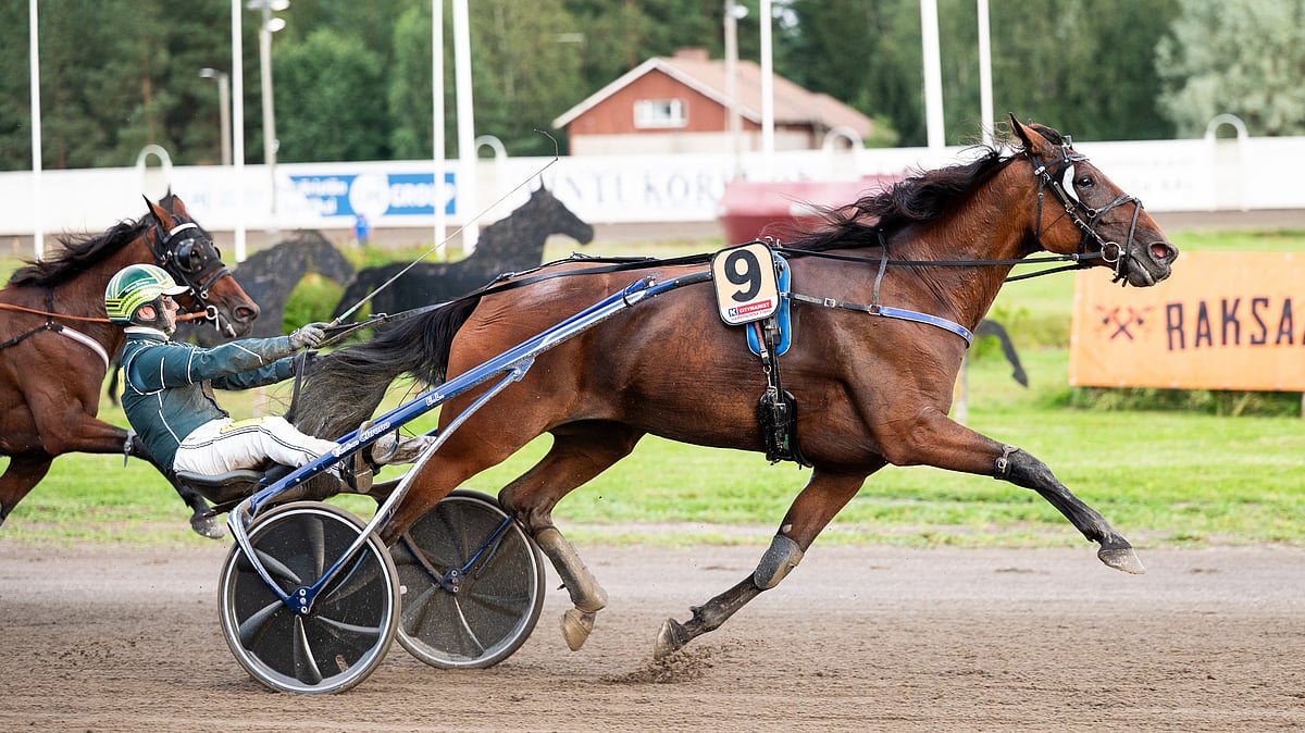 Tammavaltikka starttasi Forssassa - EL Indeedin voima puhui lyhyelläkin ...