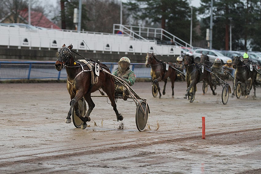 Heidi Ale häikäisi tammalähdössä