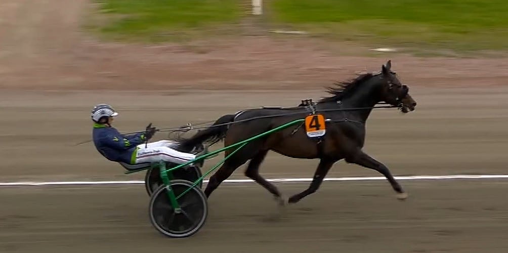 Ringostarr Treb loistava Olympiaravivoittaja