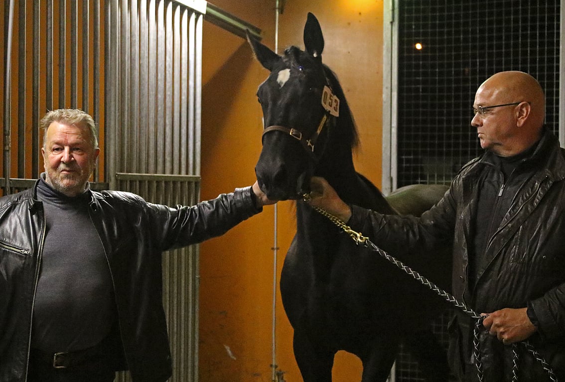 Trixtonin pojasta Ypäjän huutokaupan kallein