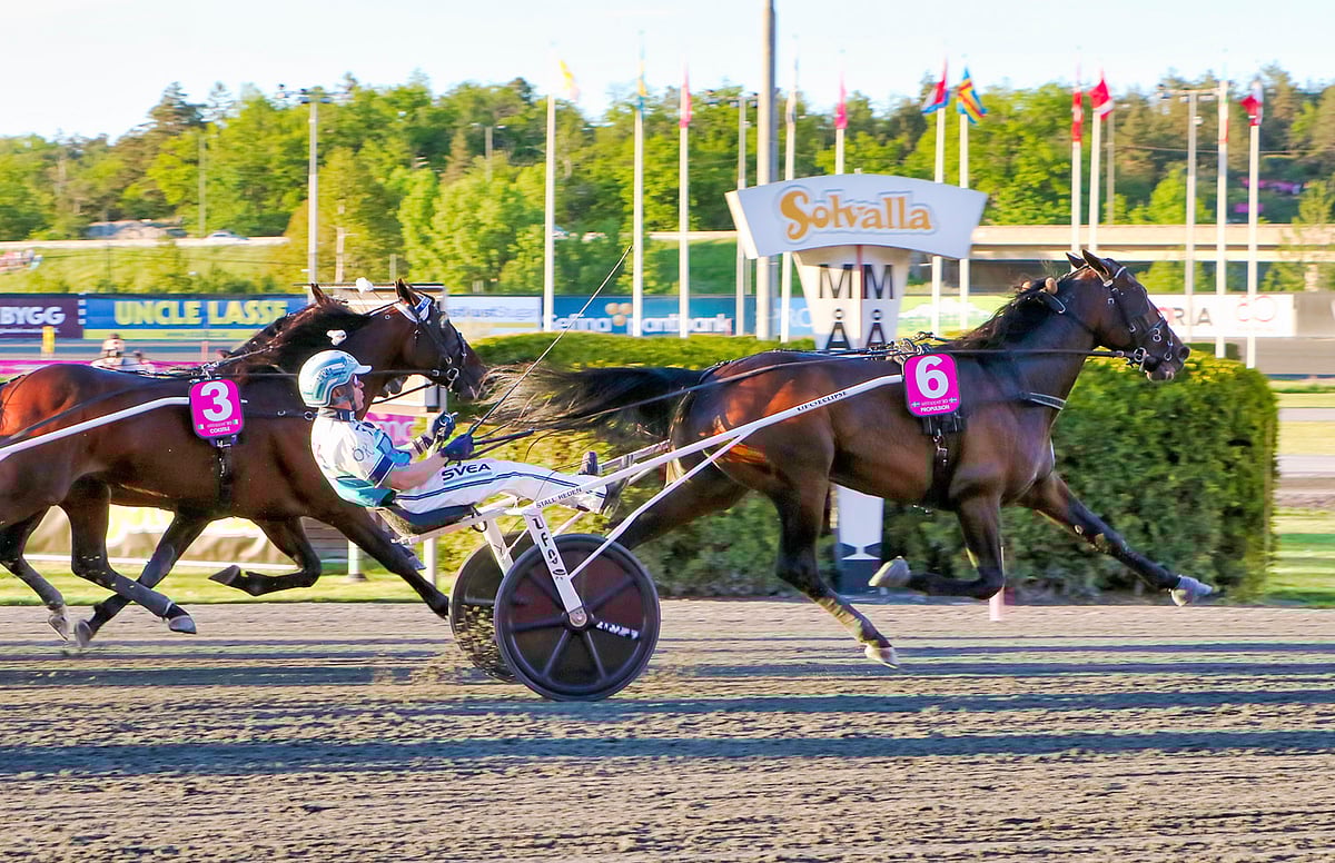 Propulsionin siitosoikeus Hippoksen hallituksen käsittelyyn – "Jos ...