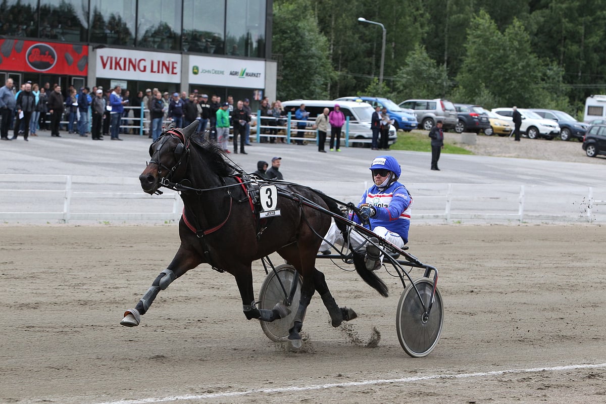 Sami Fredin järjesti amatööriohjastajien lähdössä jättiyllätyksen ...