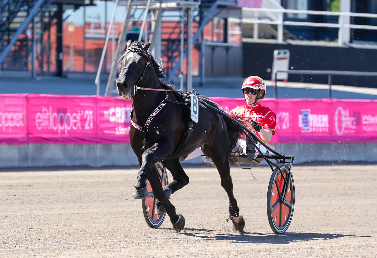 Tangen Bork voitti Svenskt Kallblodsderbyn