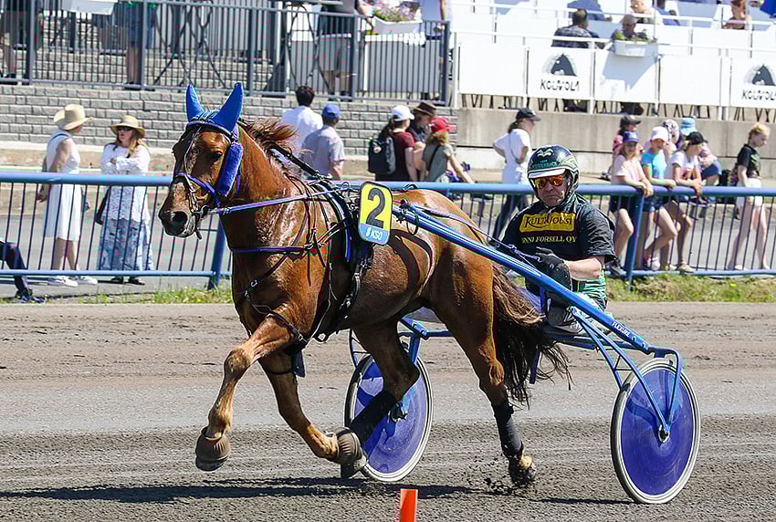 Helmin Hermannille avausvoitto